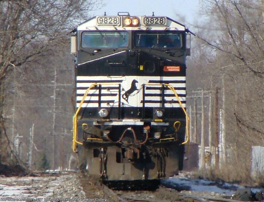 NS 9828
